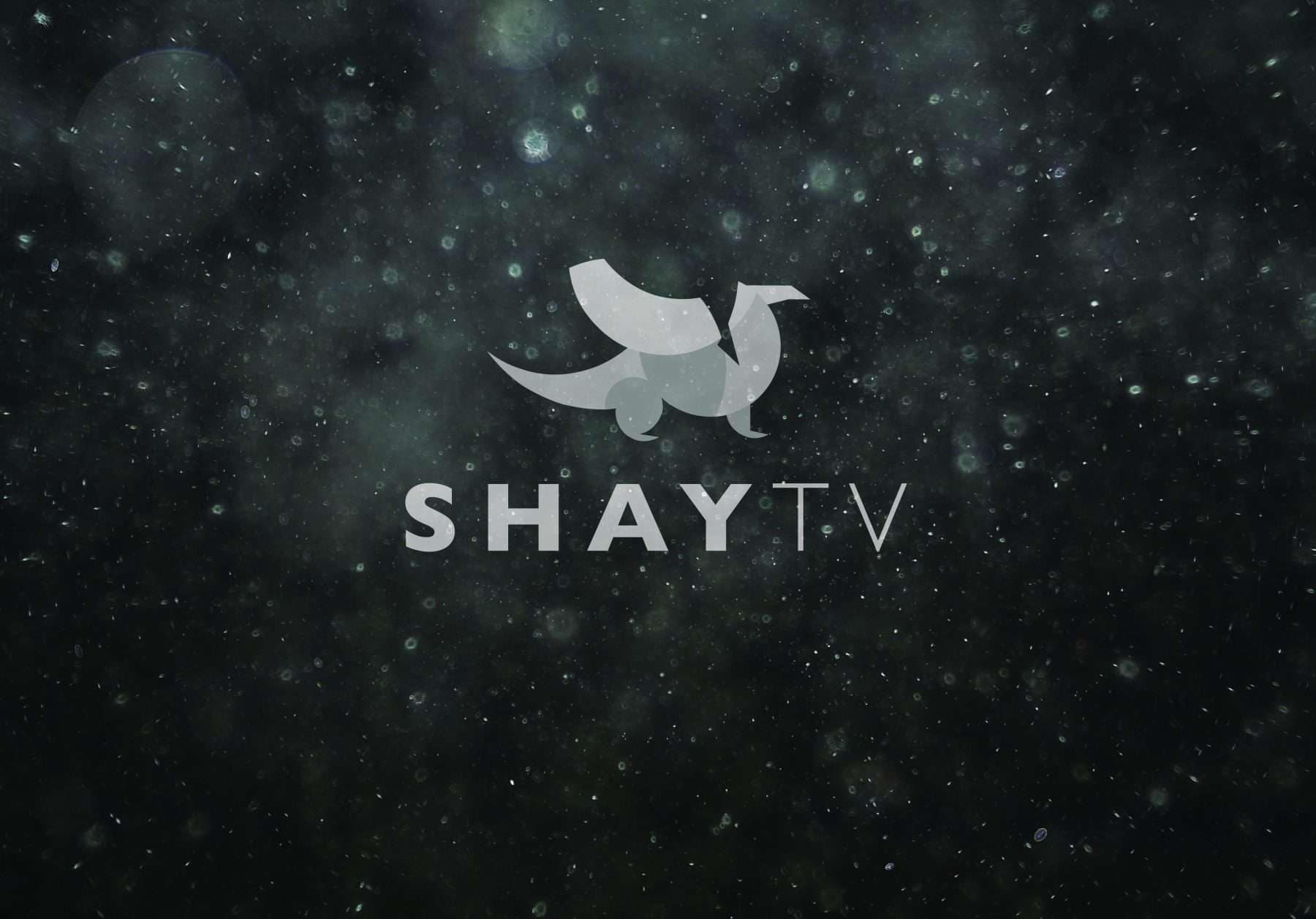 SHAY PRODUCTION – Hummingbirdesign